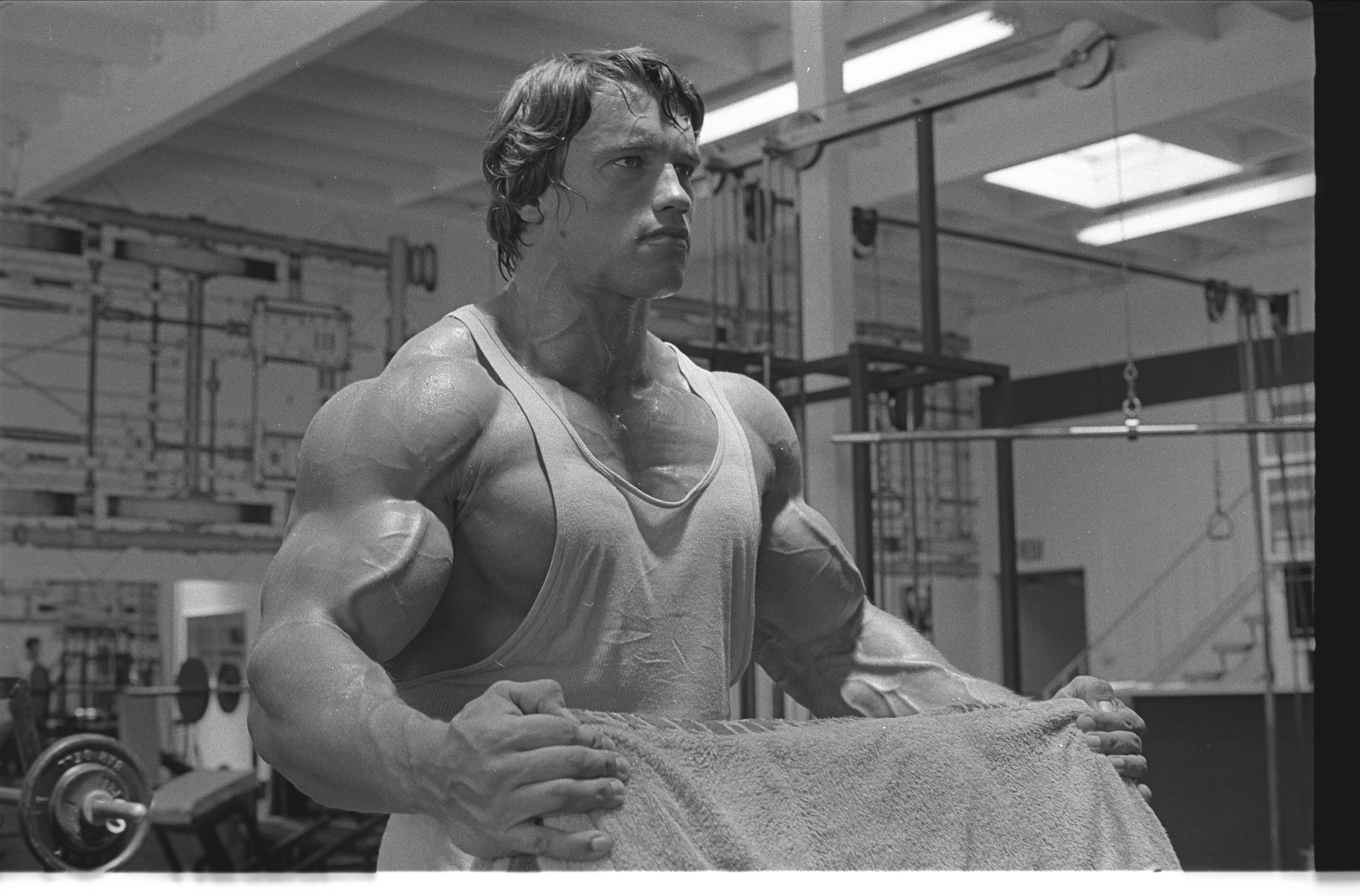 Merch – Arnold's Pump Club